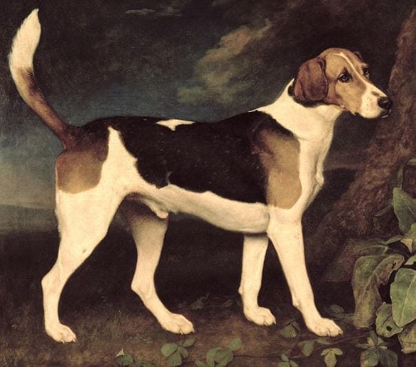 George Stubbs—“Horse painter” and anatomist - Hektoen International