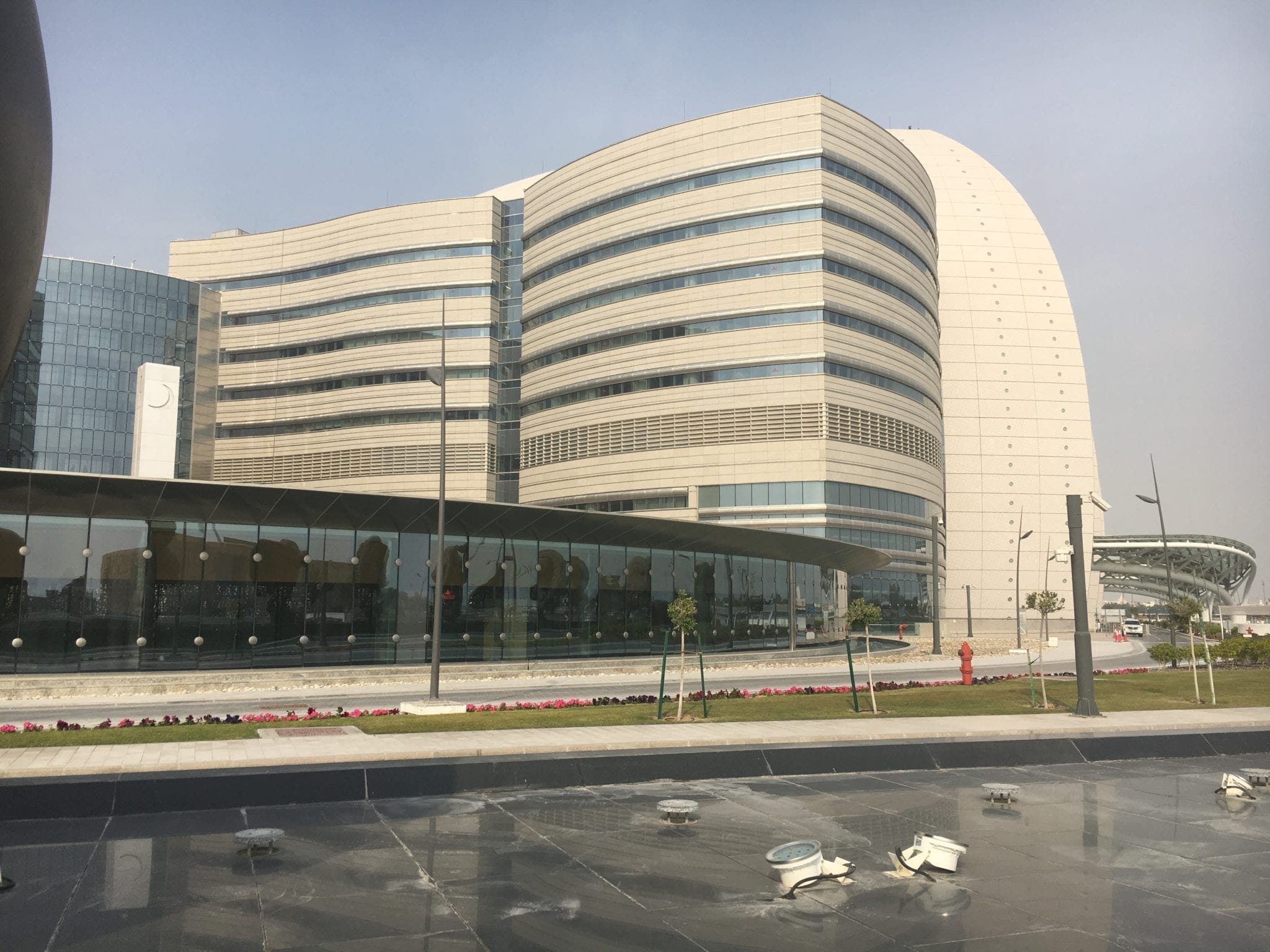 Qatar’s Sidra Hospital and Damien Hirst’s Miraculous Journey - Hektoen ...