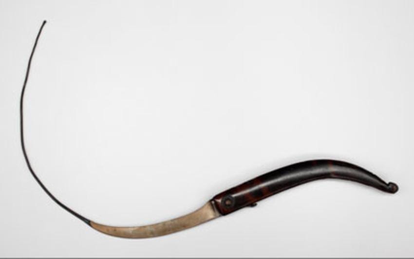 It is good to be the king: The French surgical revolution - Hektoen ...