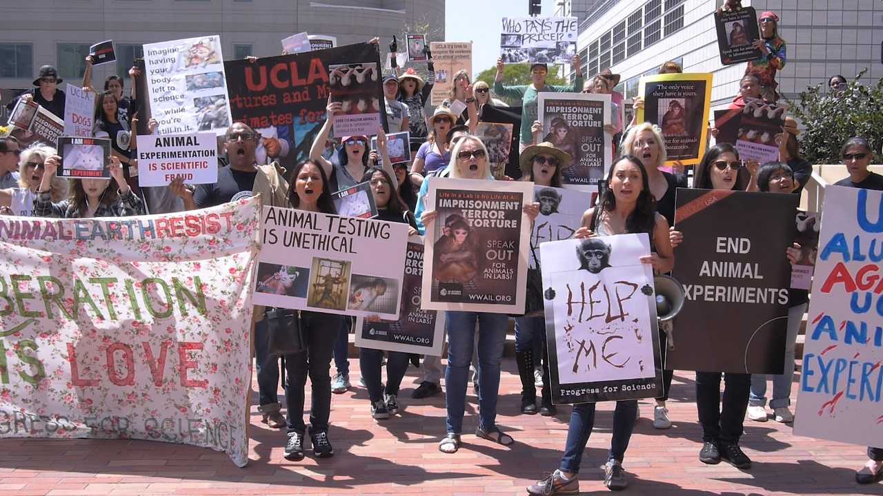 Advancing medical knowledge using nonhuman primate research - Hektoen ...