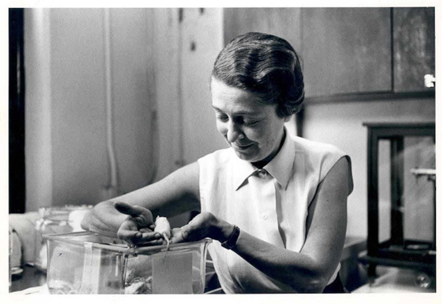 Italy’s Lady of the Cells: Rita Levi-Montalcini - Hektoen International